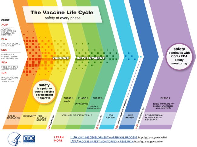 Vaccine Safety | Department of Health